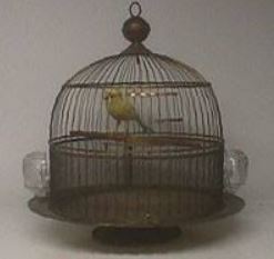 The Ideal Canary Bird Cage...Size and Shape